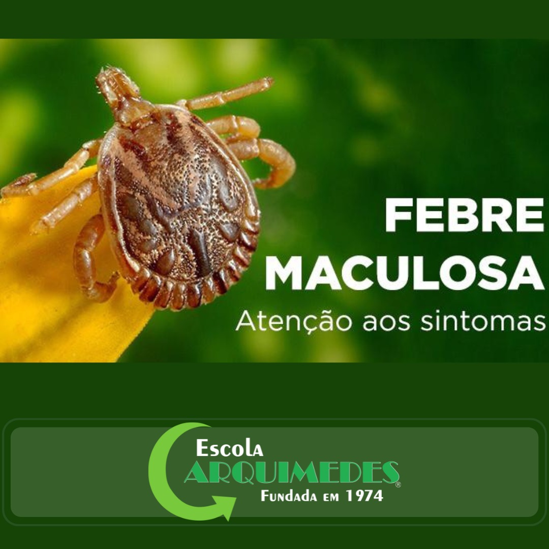 FEBRE MACULOSA – Escola Arquimedes